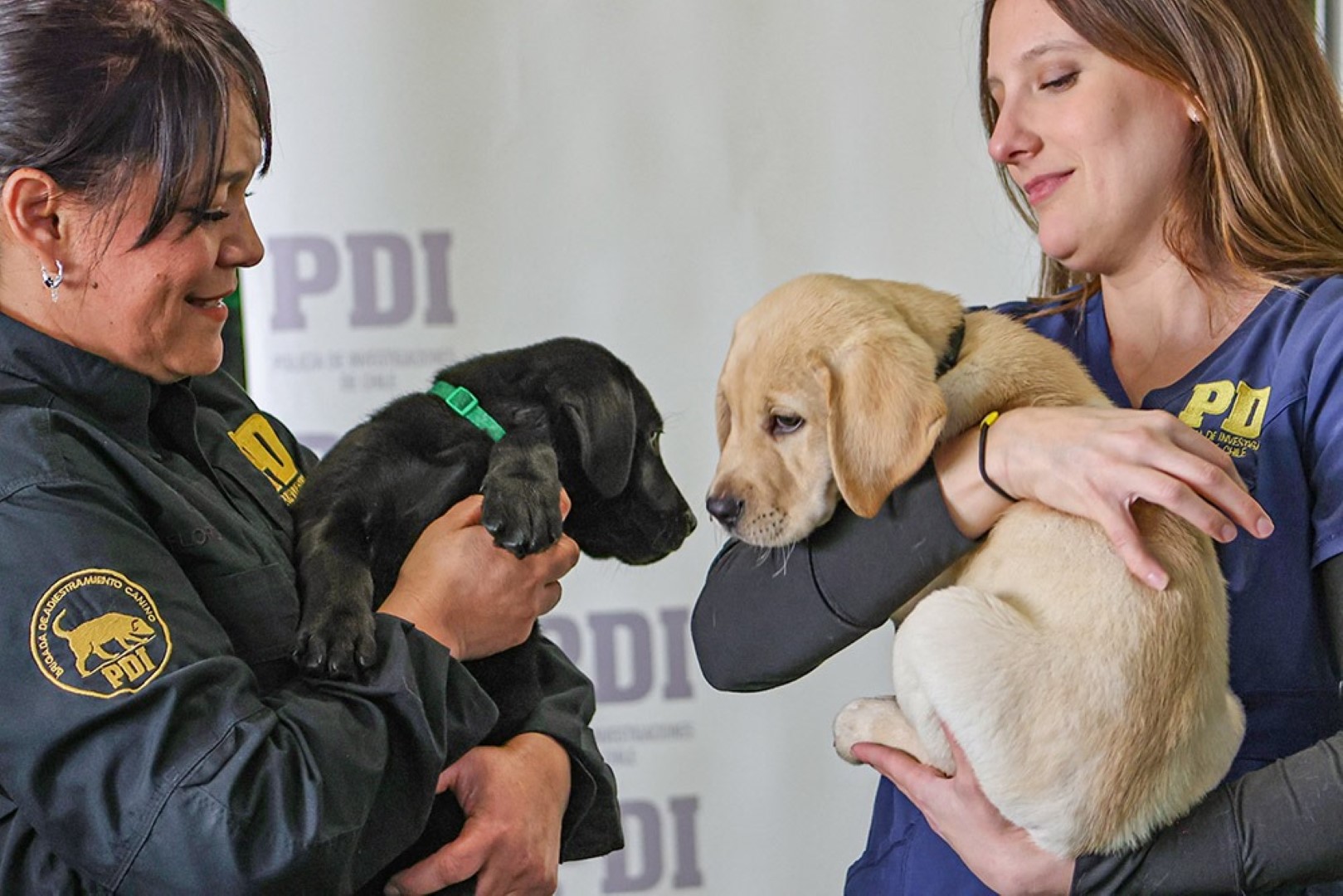 PDI abre postulación extraordinaria para formar nuevos agentes ...
